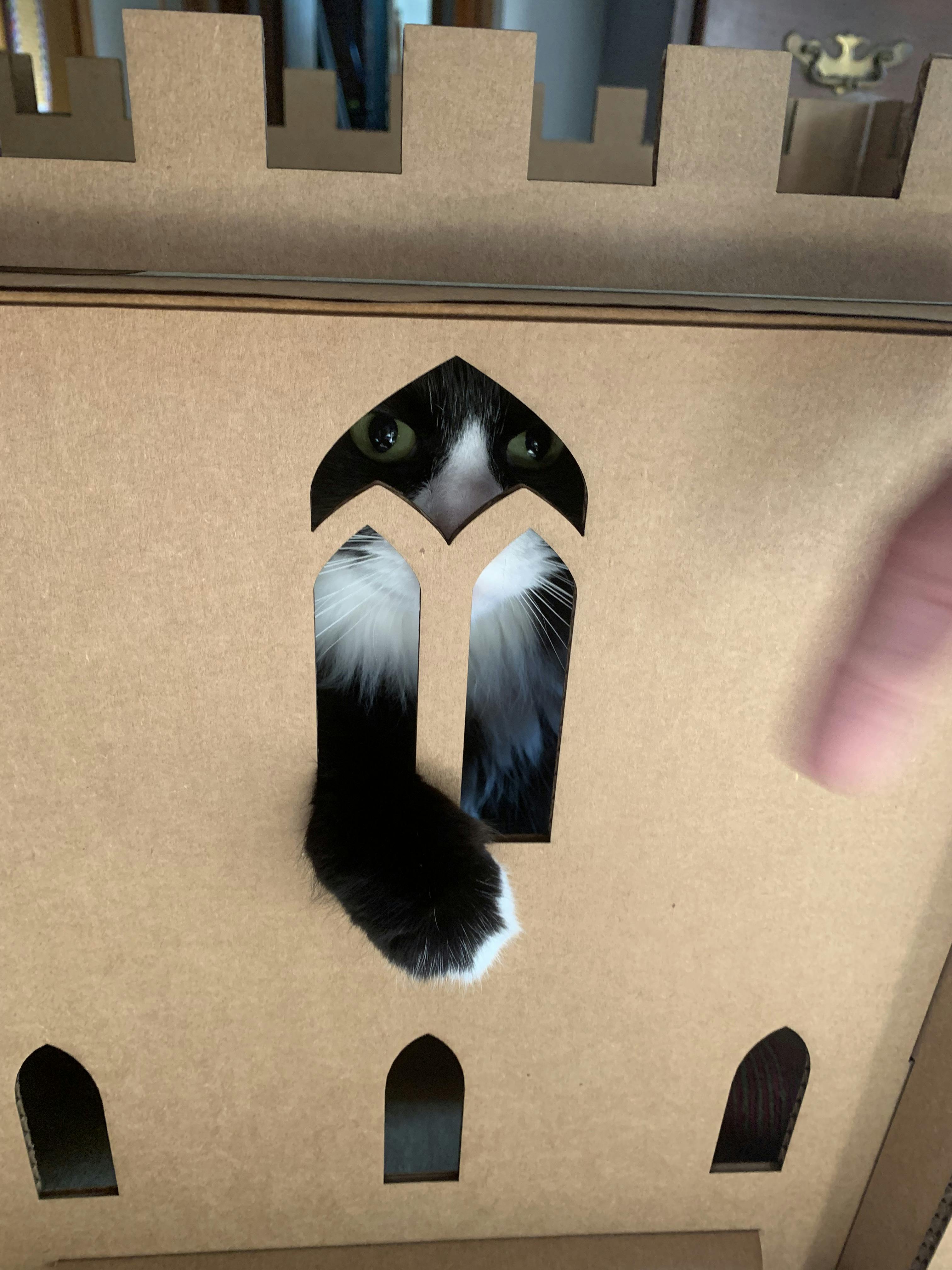 Cat Castle – Cardboard Cat Homes