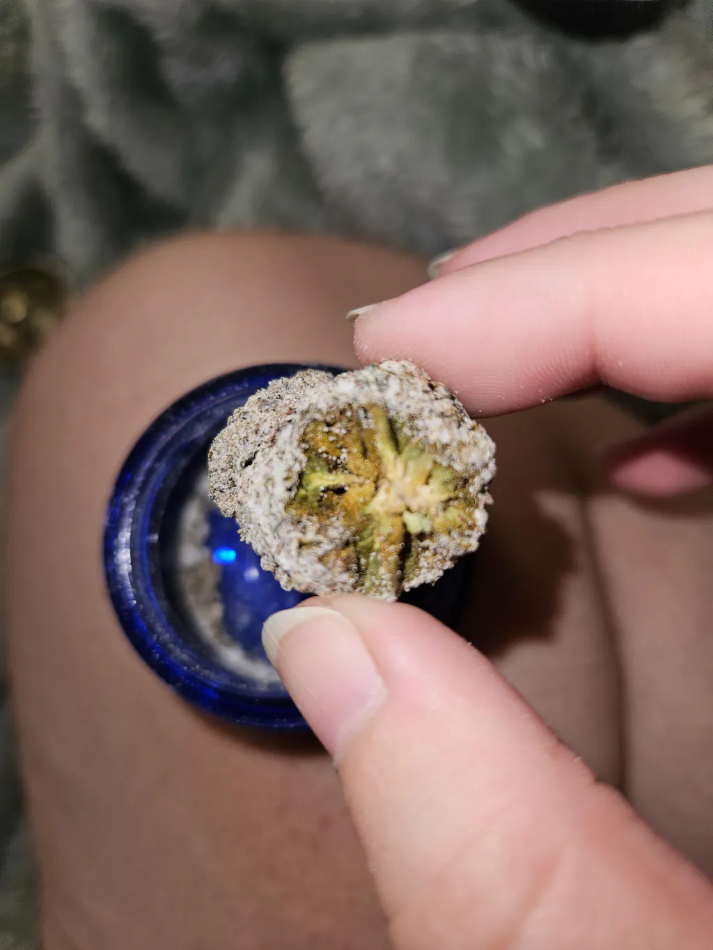 Budget THCA Flower | Budget THCA Ounces – Carolina Hemp Cafe