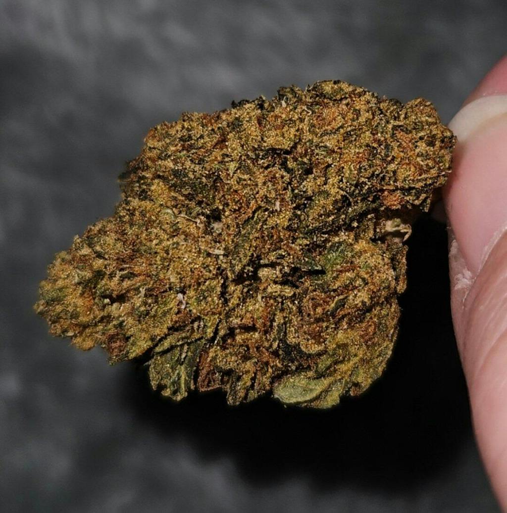 Budget THCA Flower | Budget THCA Ounces – Carolina Hemp Cafe