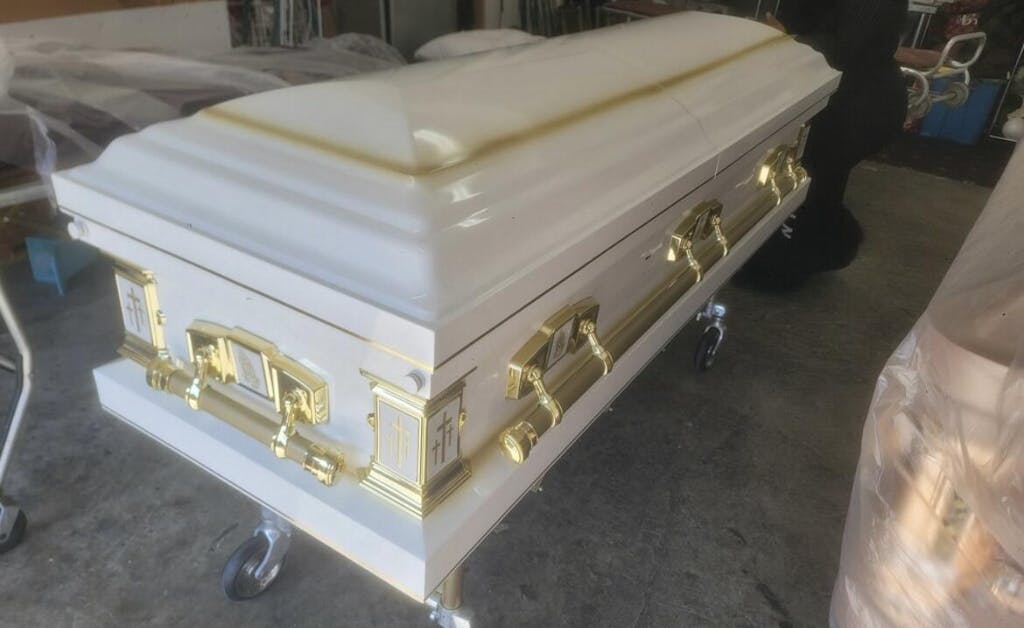 Neptune Series White Pearl - Casket Emporium