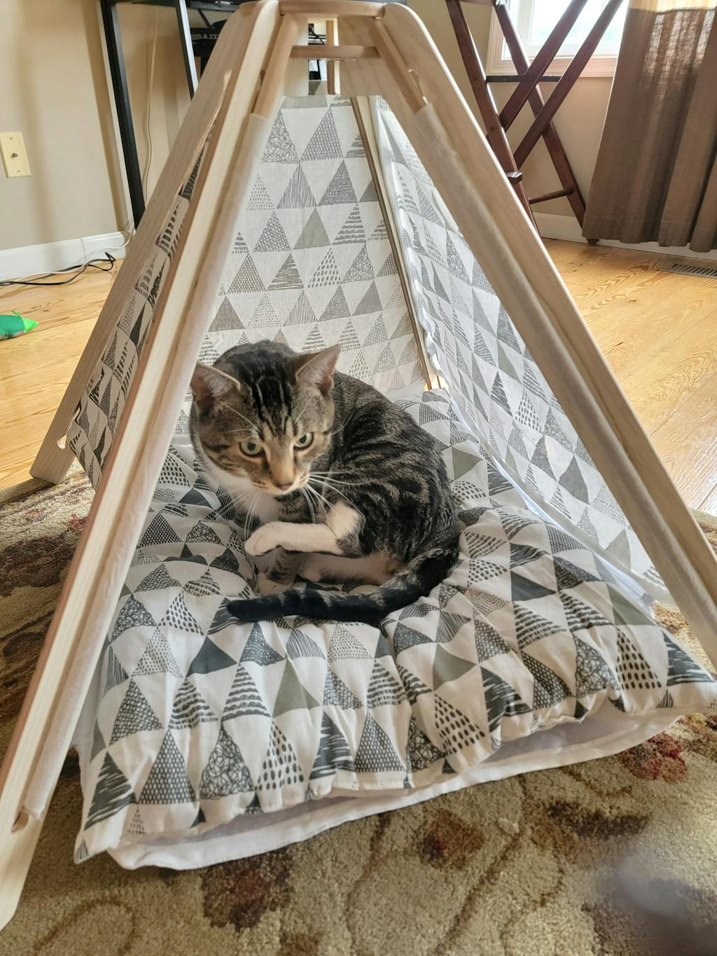 "The Glamper" Grey Cat Yurt — Cat Culture Market