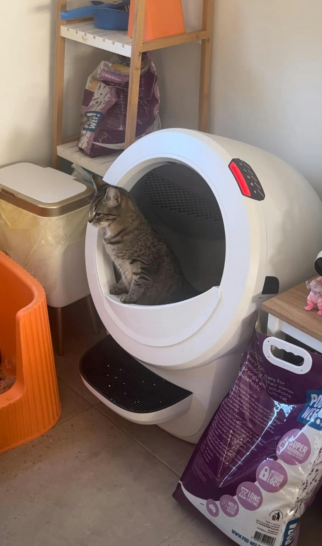 Litter-Robot™ 4 – Cat Evolution