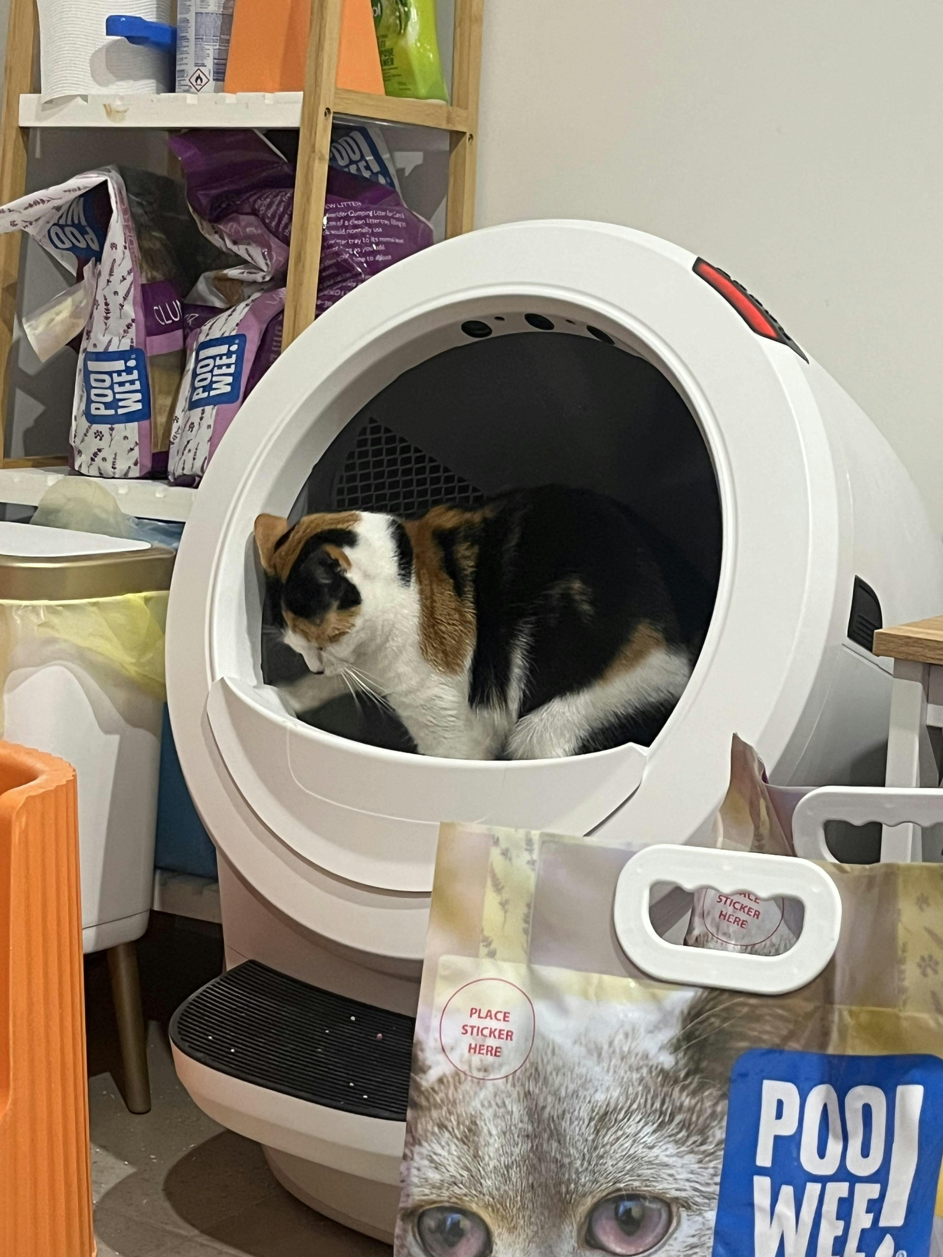 Litter-Robot™ 4 – Cat Evolution