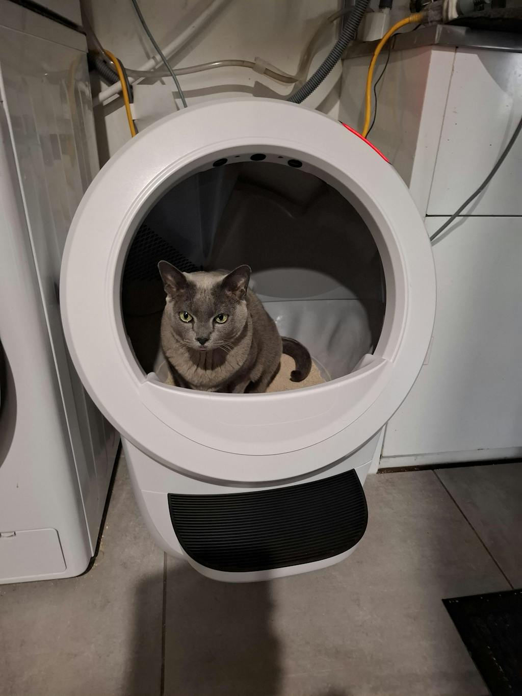 Litter-Robot™ 4 – Cat Evolution
