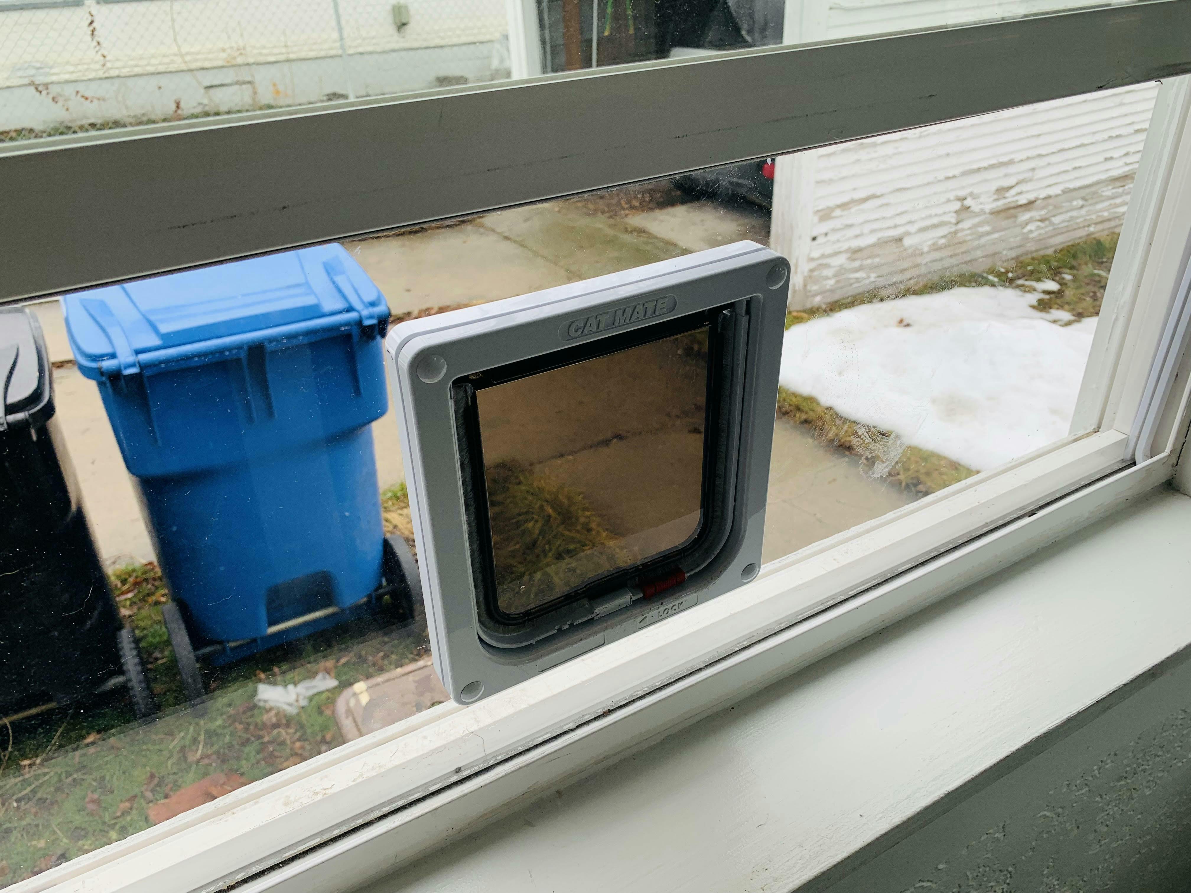 CAT DOOR WINDOW INSERT - BEAUTIFUL PLEXIGLAS BASE - FREE SHIPPING ...