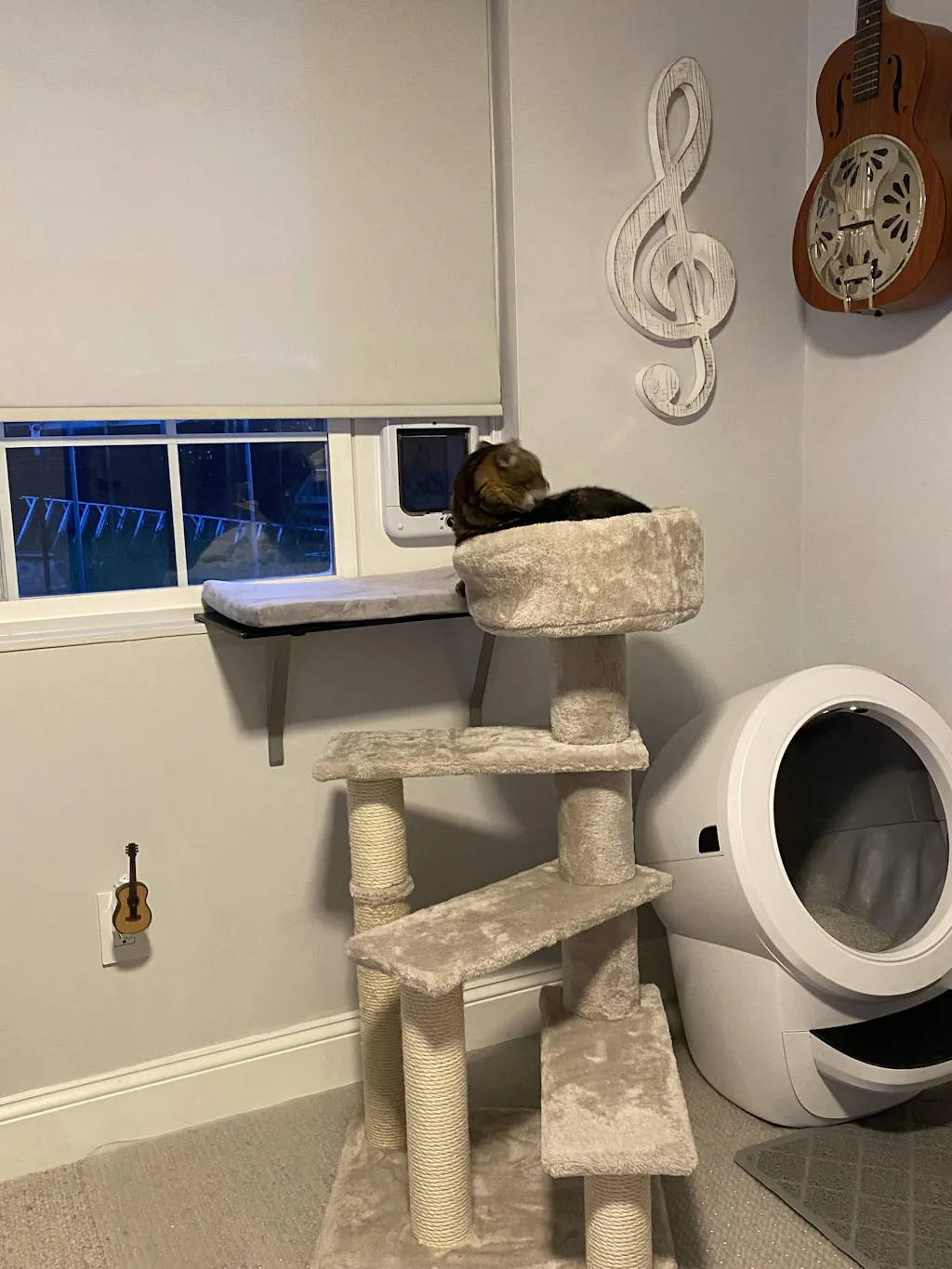 Cat Flap Fever Reviews - The Original Cat Door Window Insert – Cat Flap ...
