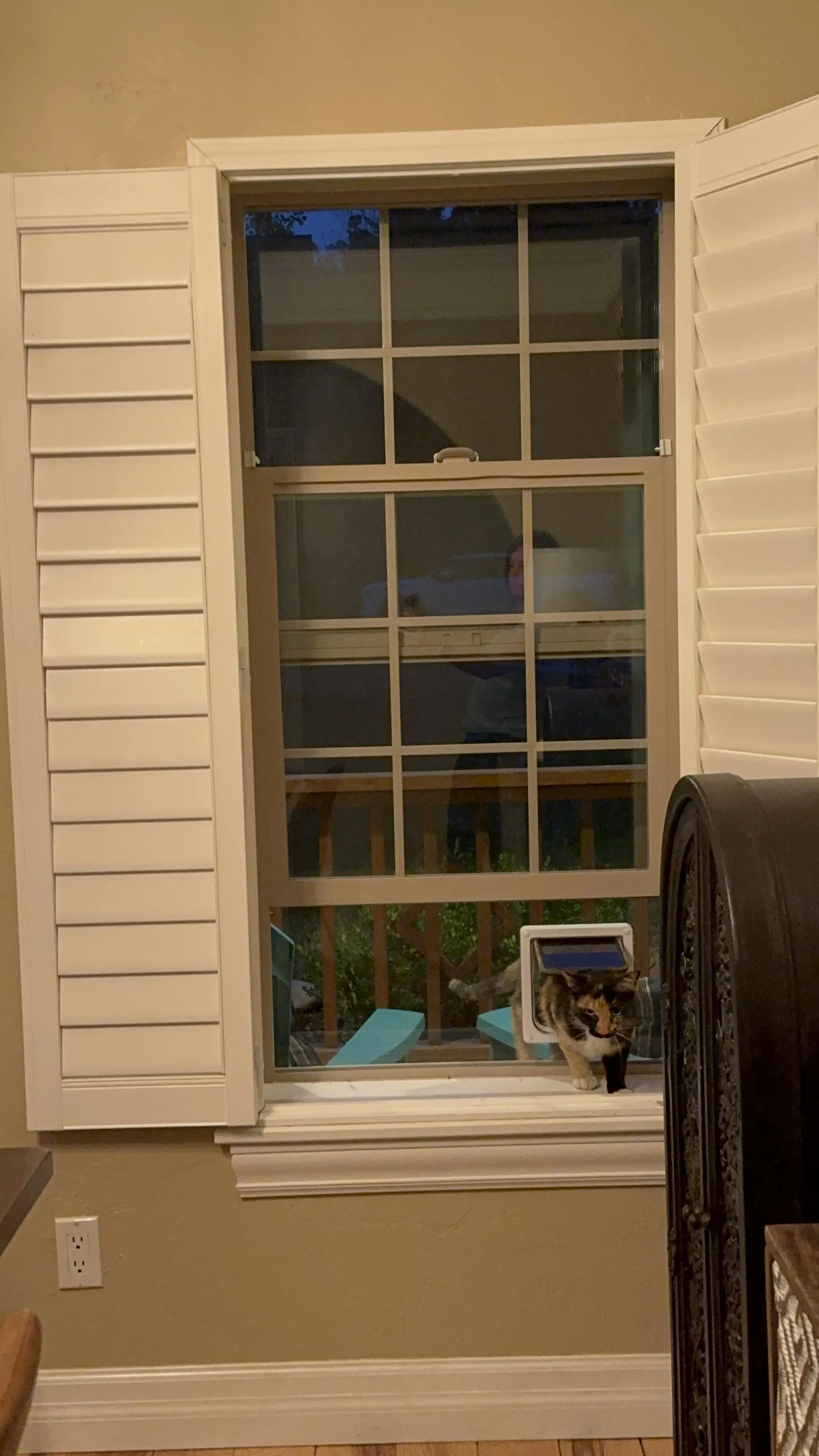 Cat Flap Fever Reviews - The Original Cat Door Window Insert – Cat Flap ...