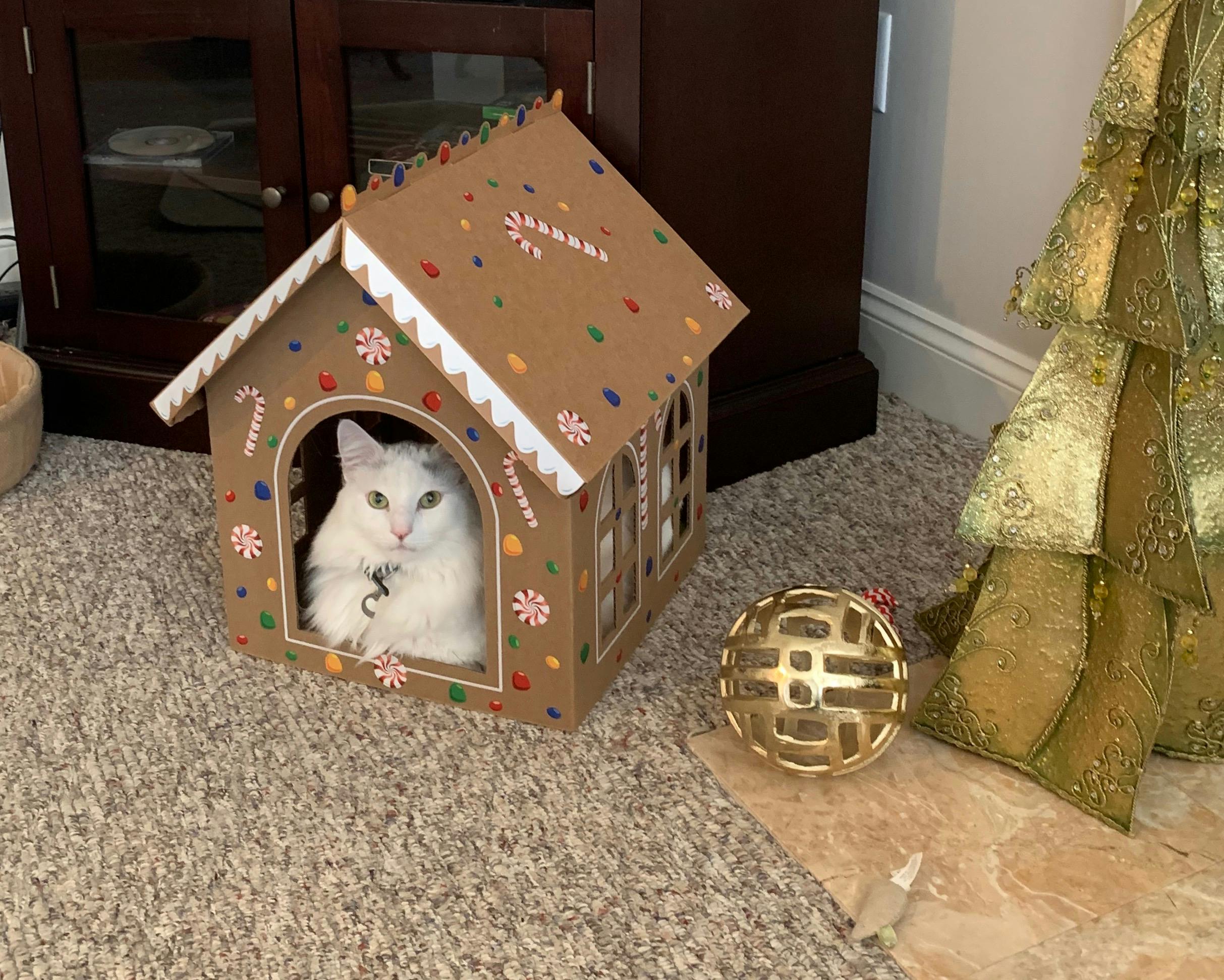 Cardboard Gingerbread Cat Playhouse Kit | Cat in the Box – Cat in the ...