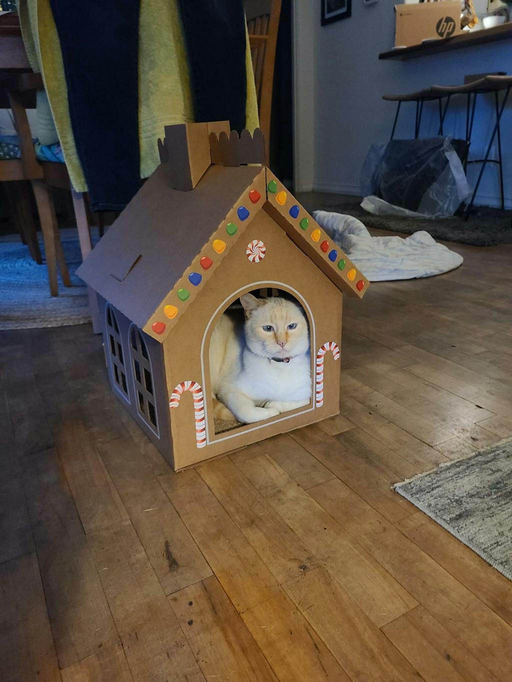 Cardboard Gingerbread Cat Playhouse Kit | Cat in the Box – Cat in the ...