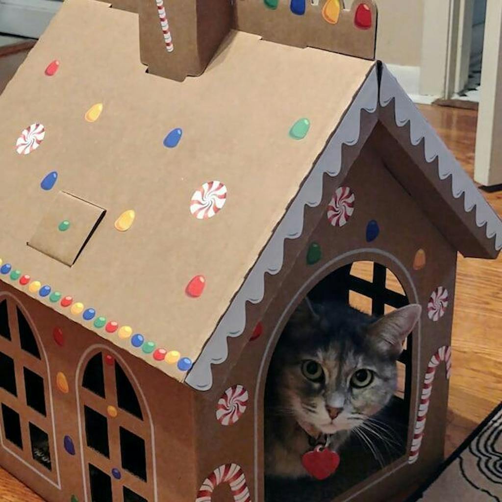 Cardboard Gingerbread Cat Playhouse Kit | Cat in the Box – Cat in the ...