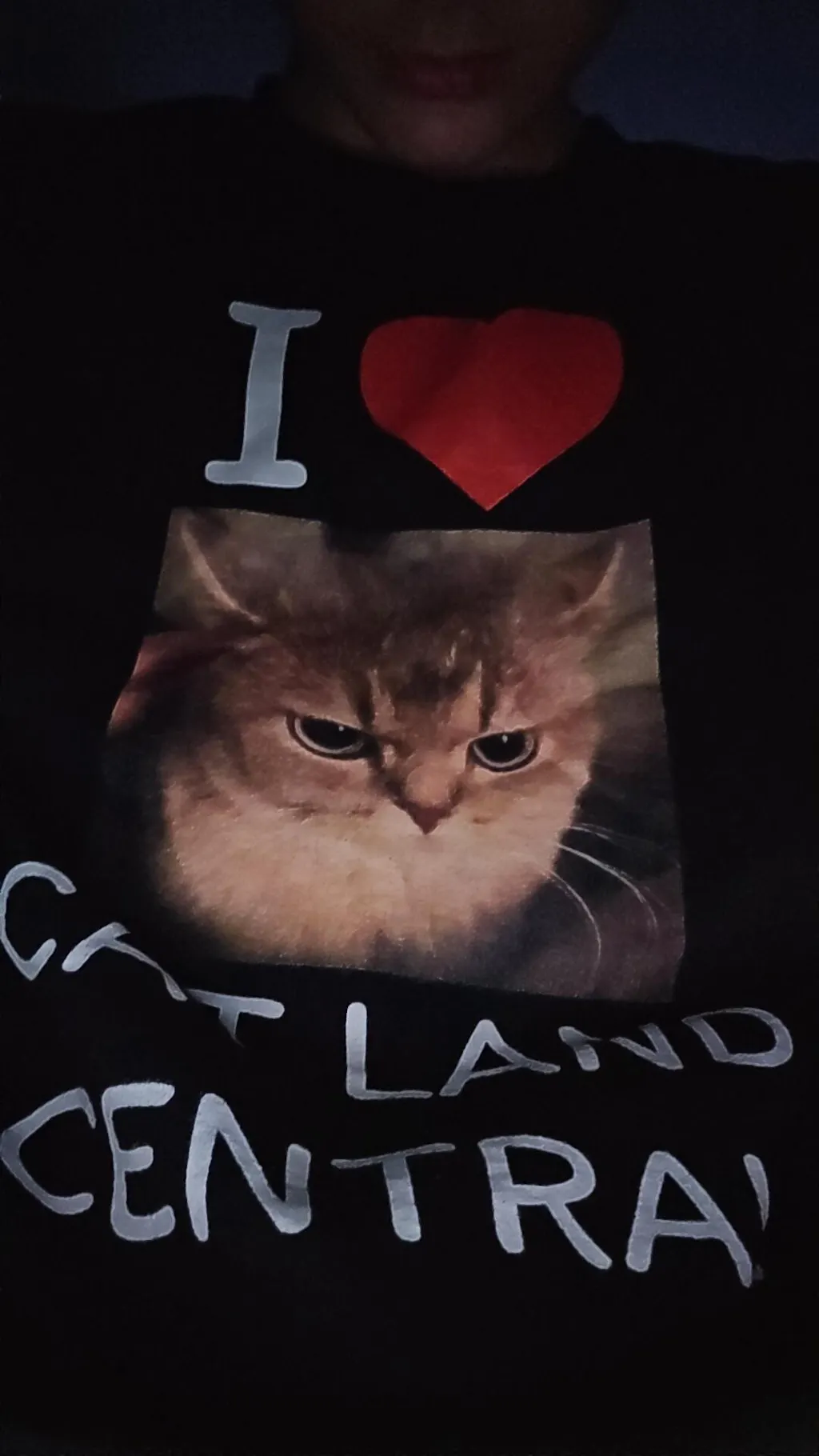 I LOVE CAT LAND CENTRAL T-SHIRT
