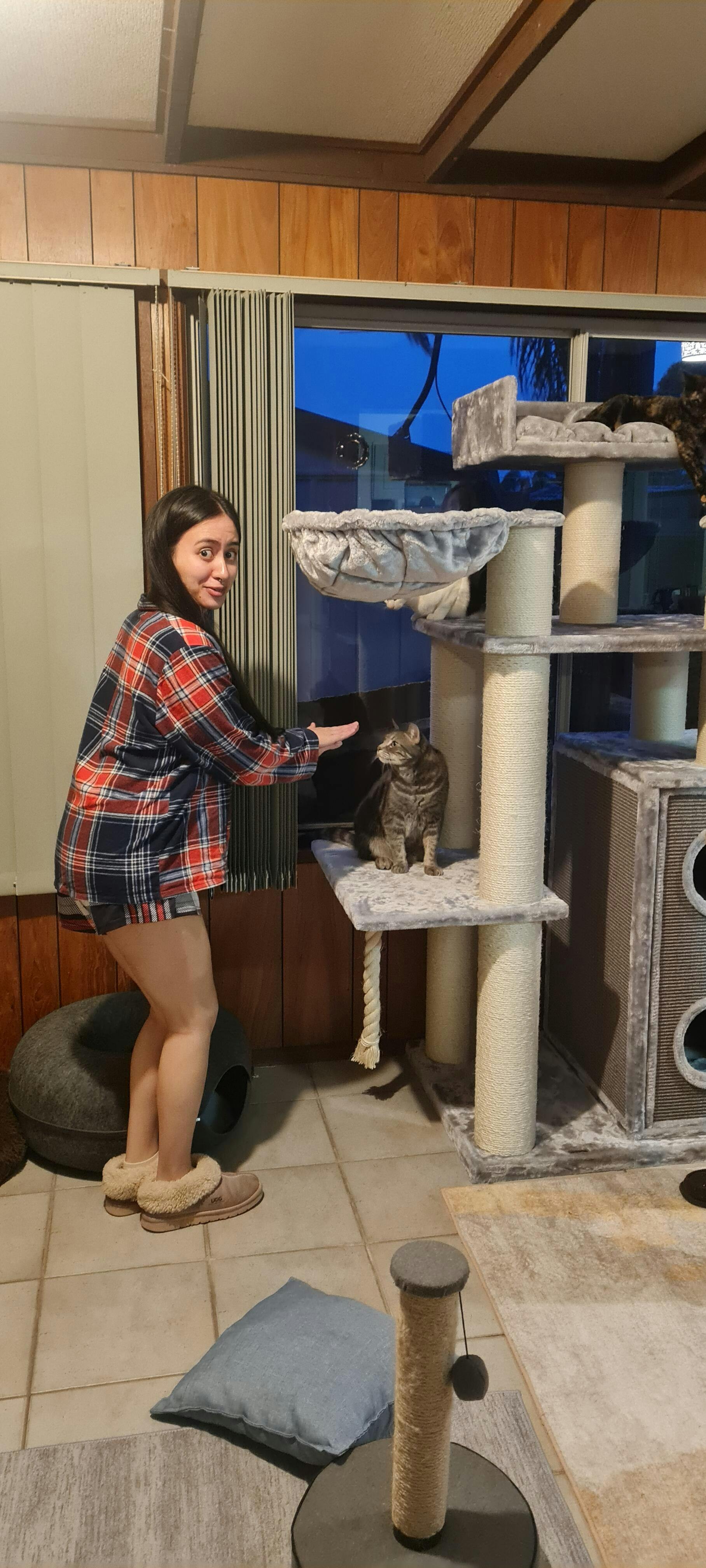 Cat Tree for large cats Cat Paradise (Light Grey) - CatTreeKing USA