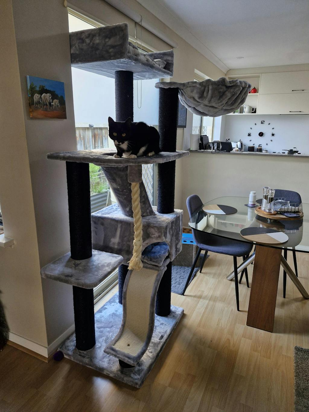 Cat Tree for large cats Cat Mansion (Blackline Light Grey ...