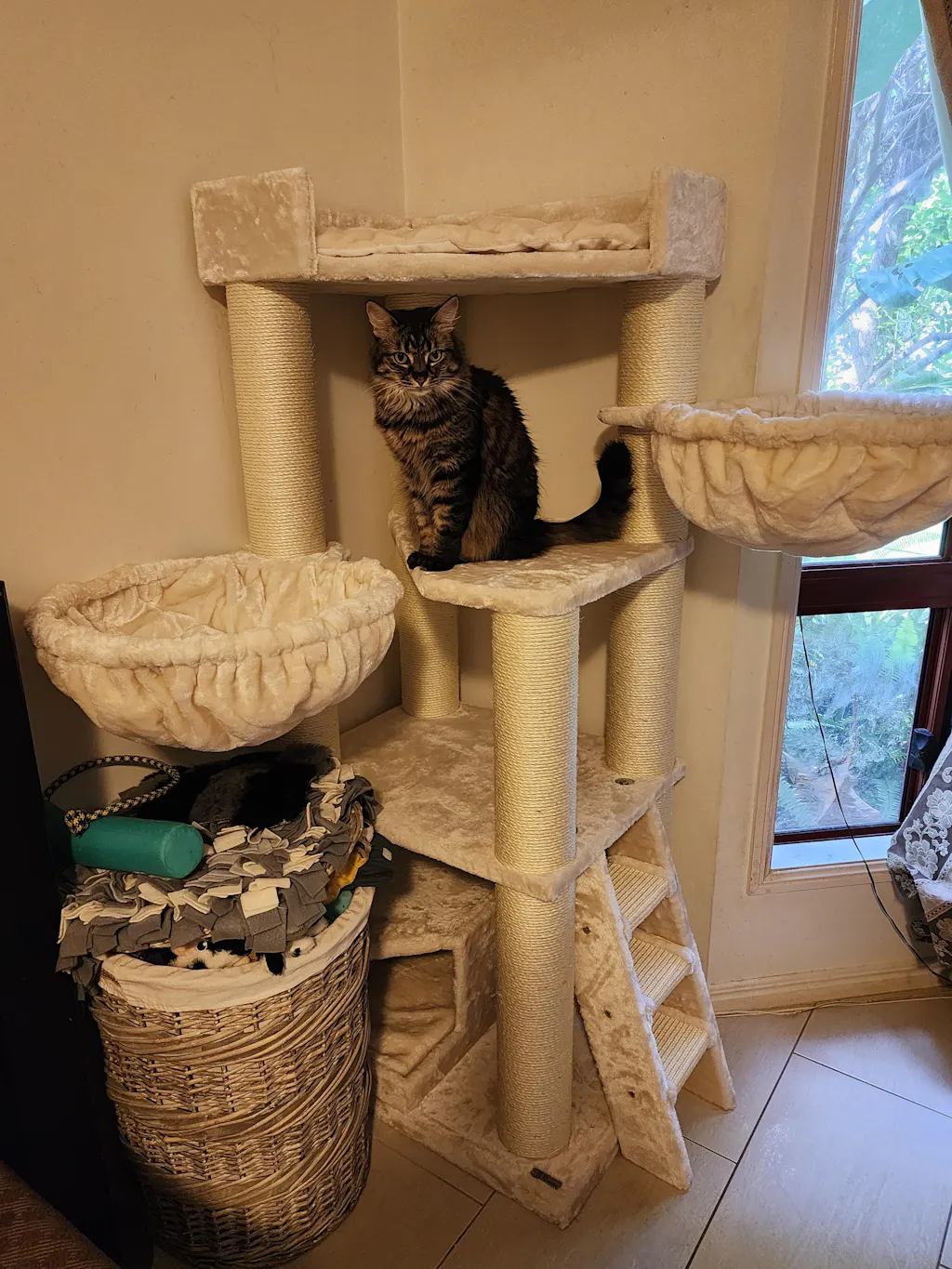Cat Tree for large cats Corner Cat XXL (Beige) - CatTreeKing Australia