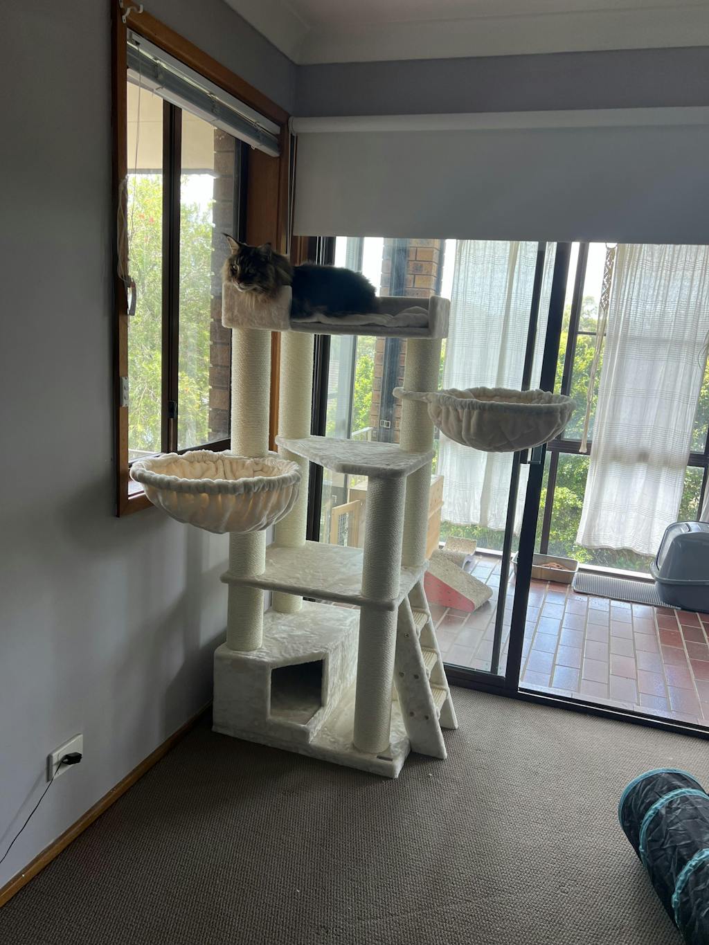 Cat Tree for large cats Corner Cat XXL (Beige) - CatTreeKing USA