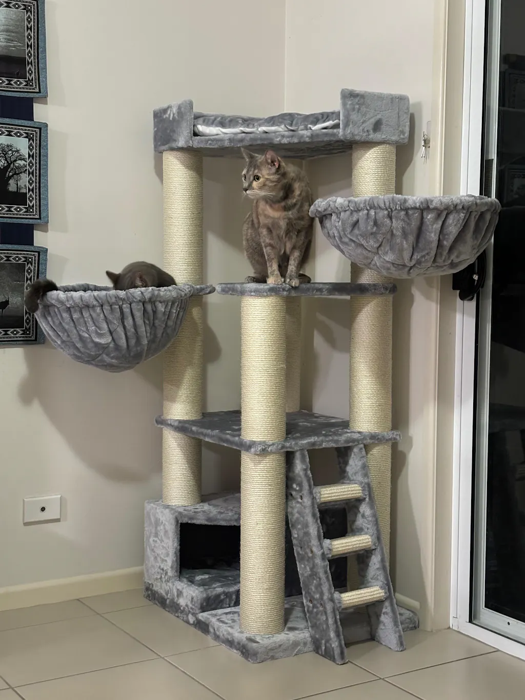 Cat Trees | Cat Towers & Tree Houses | Cat Tree King