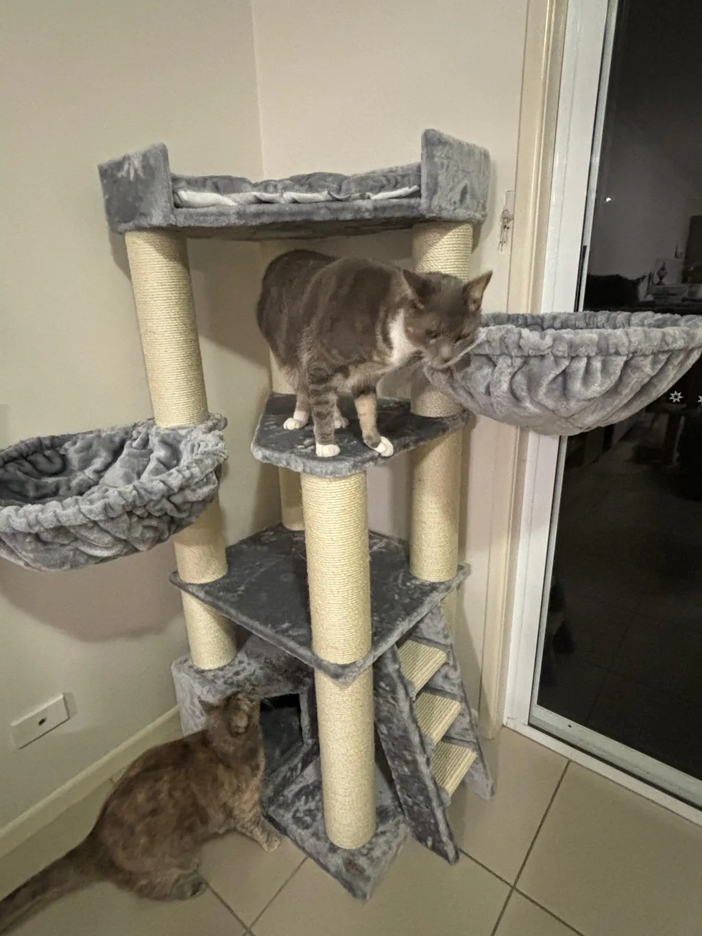Cat Trees | Cat Towers & Tree Houses | Cat Tree King