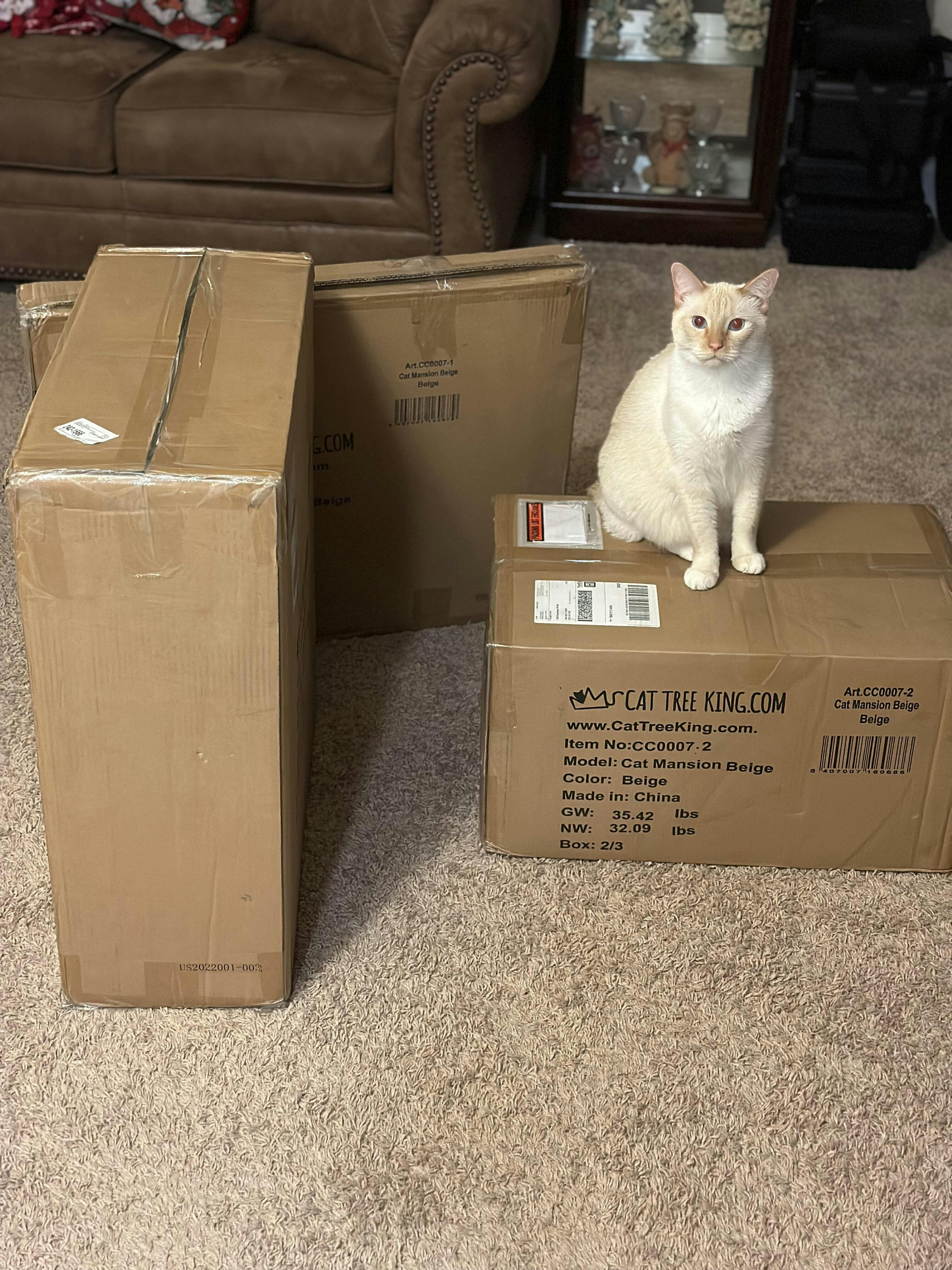 Cat Tree for large cats Cat Mansion (Beige) - CatTreeKing Australia