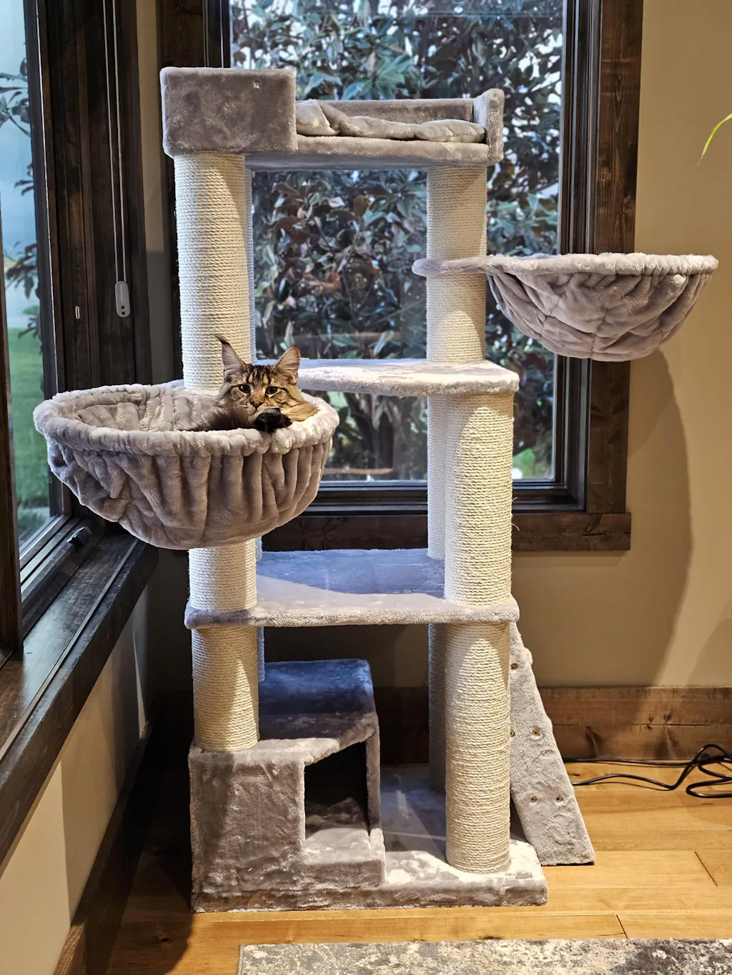 Cat Tree for large cats Corner Cat XXL (Light Grey) - CatTreeKing USA