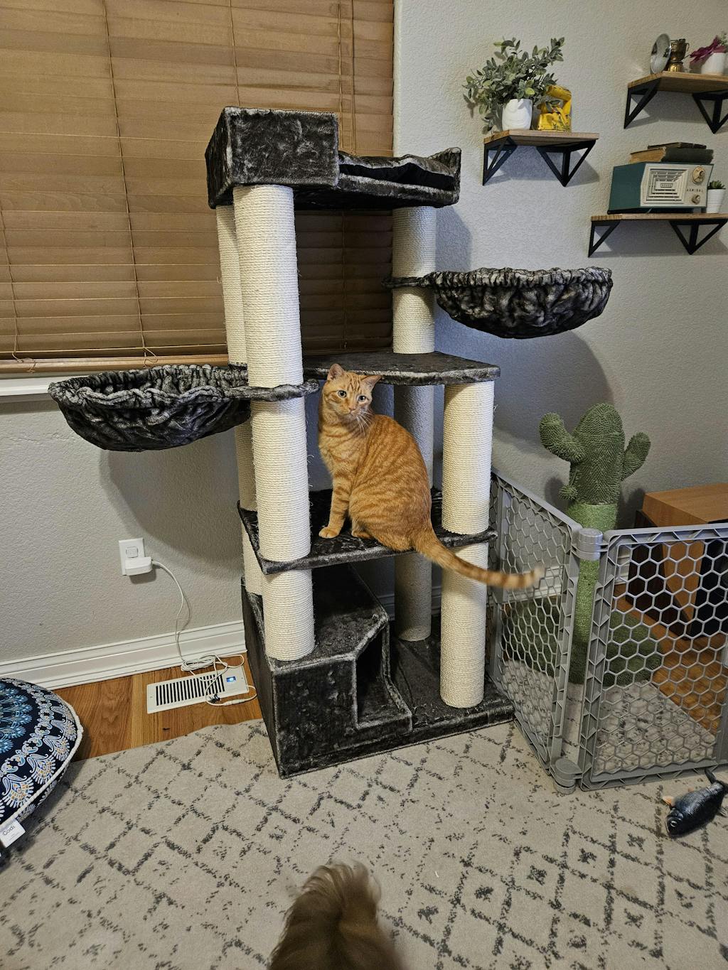Cat Tree for large cats Big Cat Palace (Beige) - CatTreeKing USA