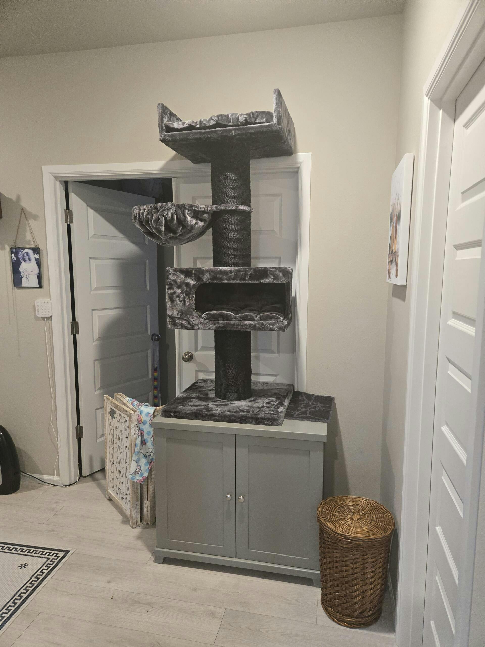 Cat Trees | Cat Towers & Tree Houses | Cat Tree King Australia