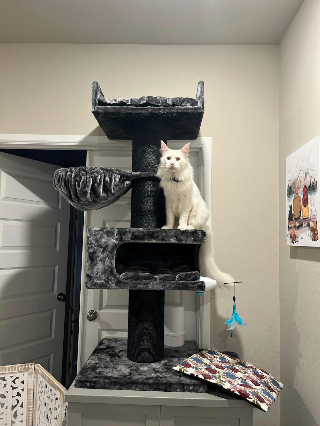 Cat Trees, Towers & Scratching Posts | Cat Tree King
