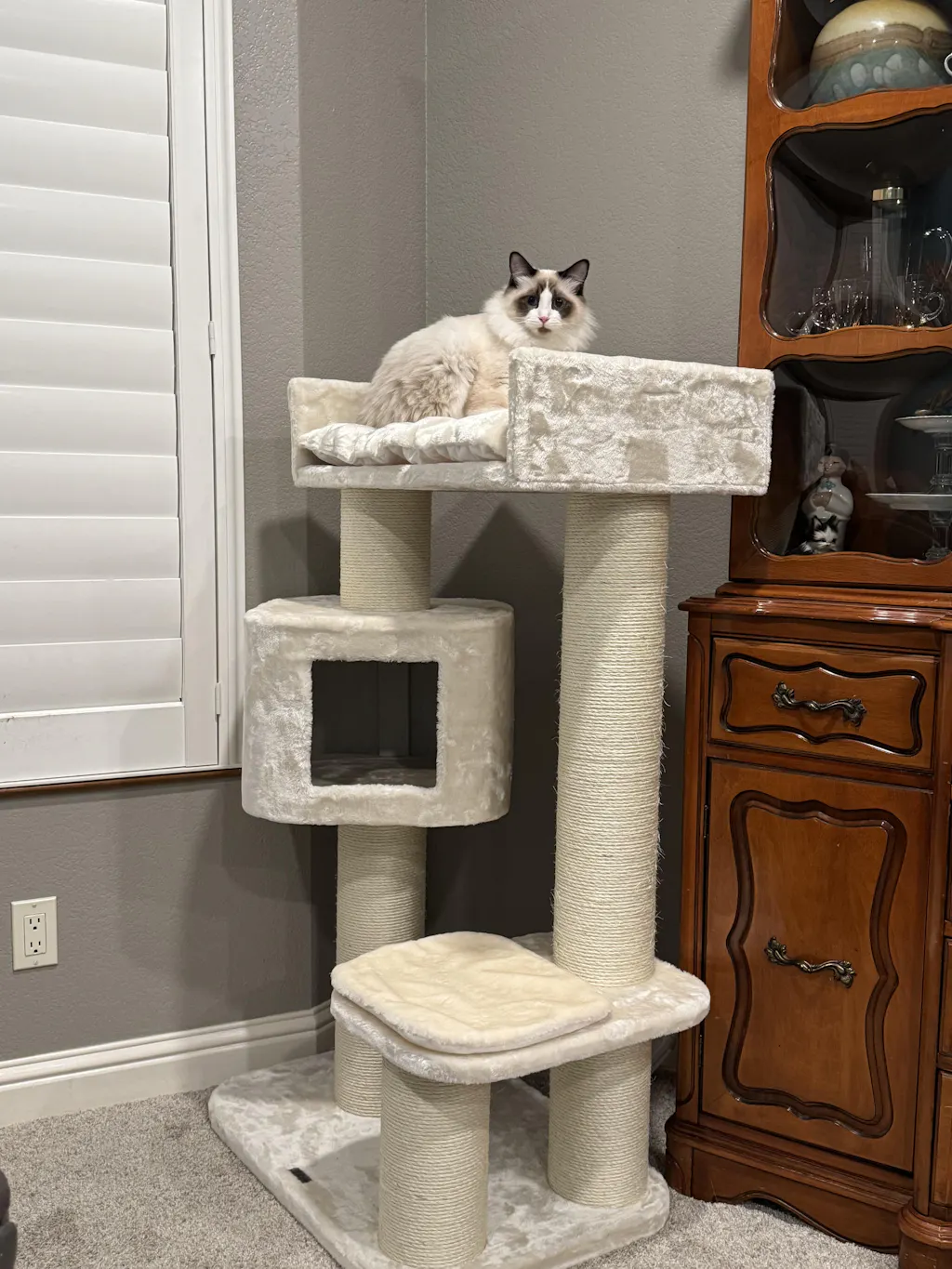 Cat Tree for large cats Big Cat Palace (Beige) - CatTreeKing USA