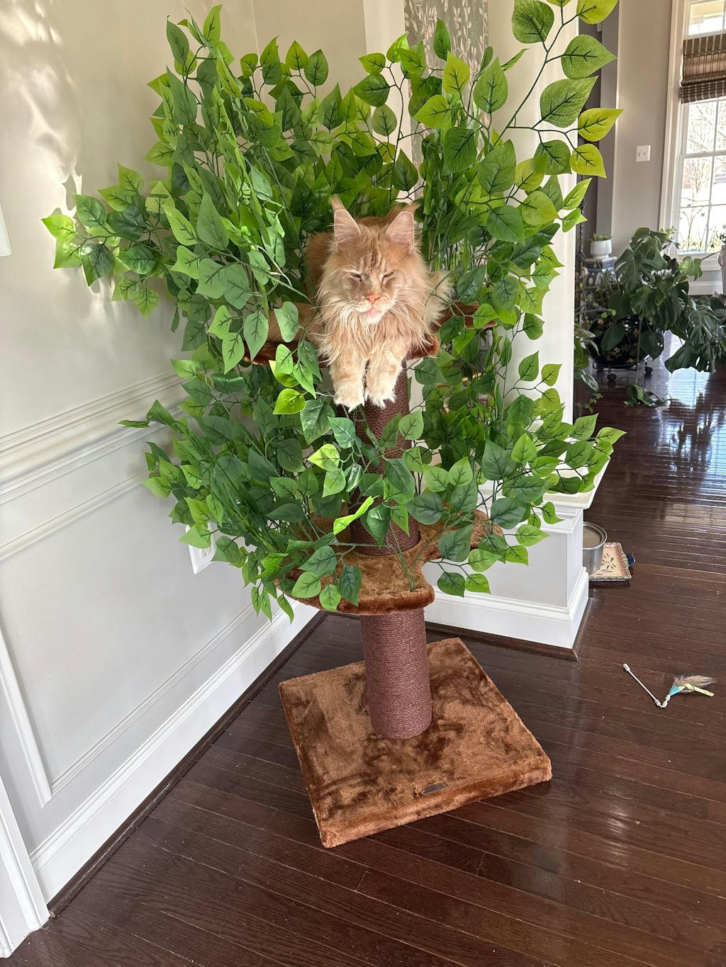 Cat Tree for large cats Cat Tree Natural Leaves - CatTreeKing USA