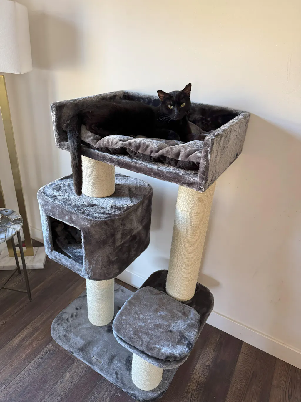 Cat Tree for large cats Royal Suite (Blackline Dark Grey) - CatTreeKing USA