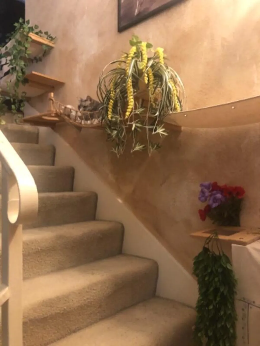 Cat Plant Stand for Wall
