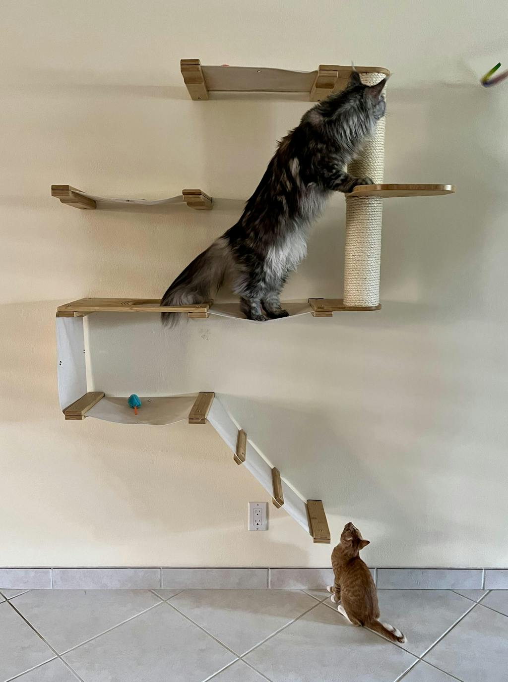 The Deluxe Cat Fort - Modern Cat Condo