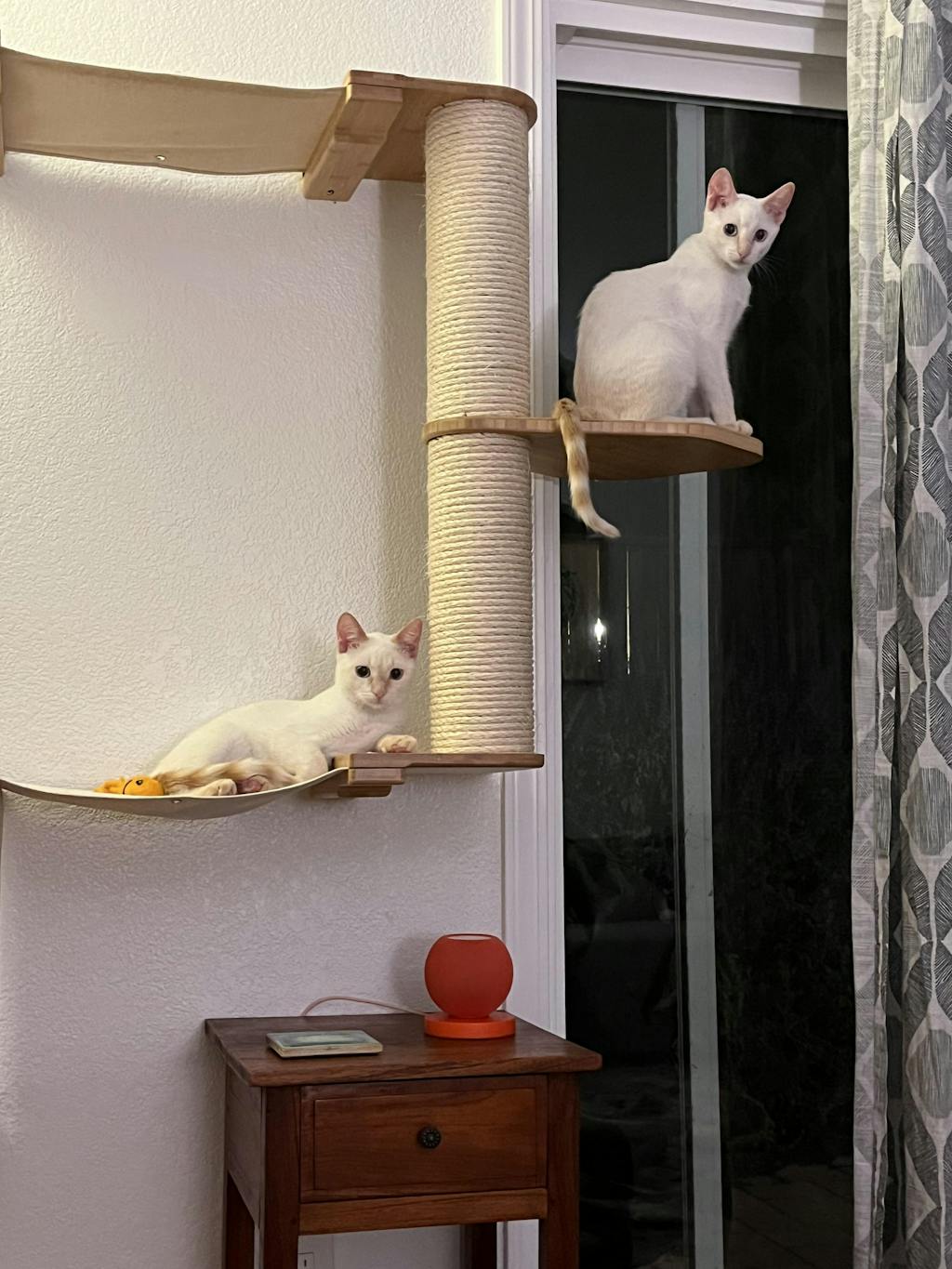 The Deluxe Cat Fort - Modern Cat Condo