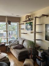 Designing Your Cat Wall | DIY Cat Wall Ideas