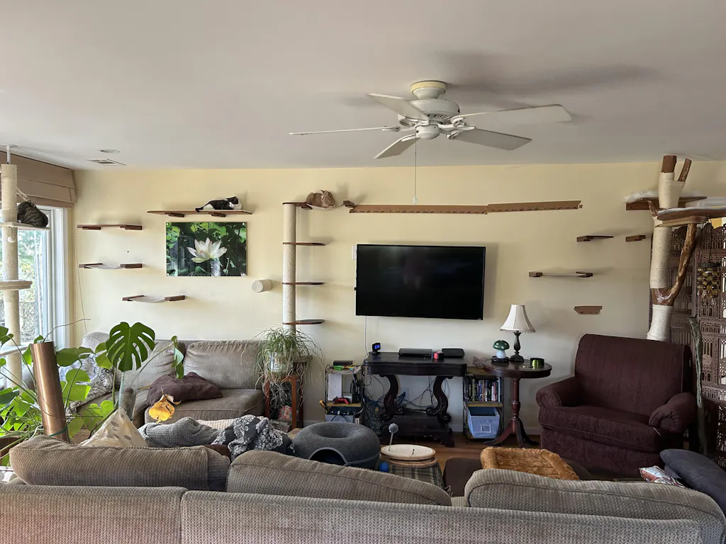 Designing Your Cat Wall | DIY Cat Wall Ideas