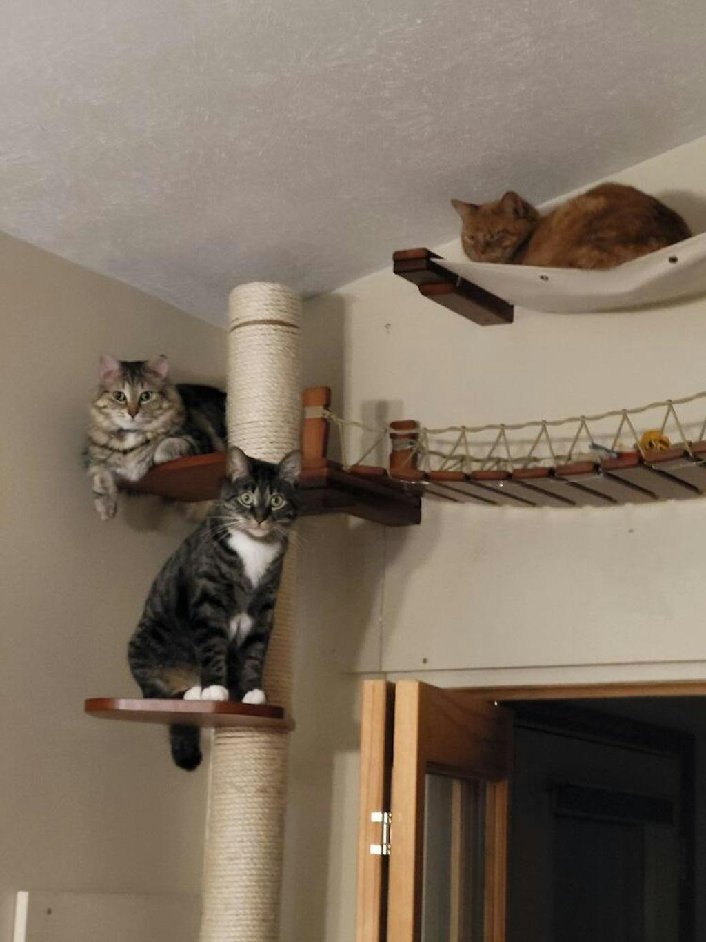 Cat Barrier for Stairs | DIY Stairway Safety for Cats