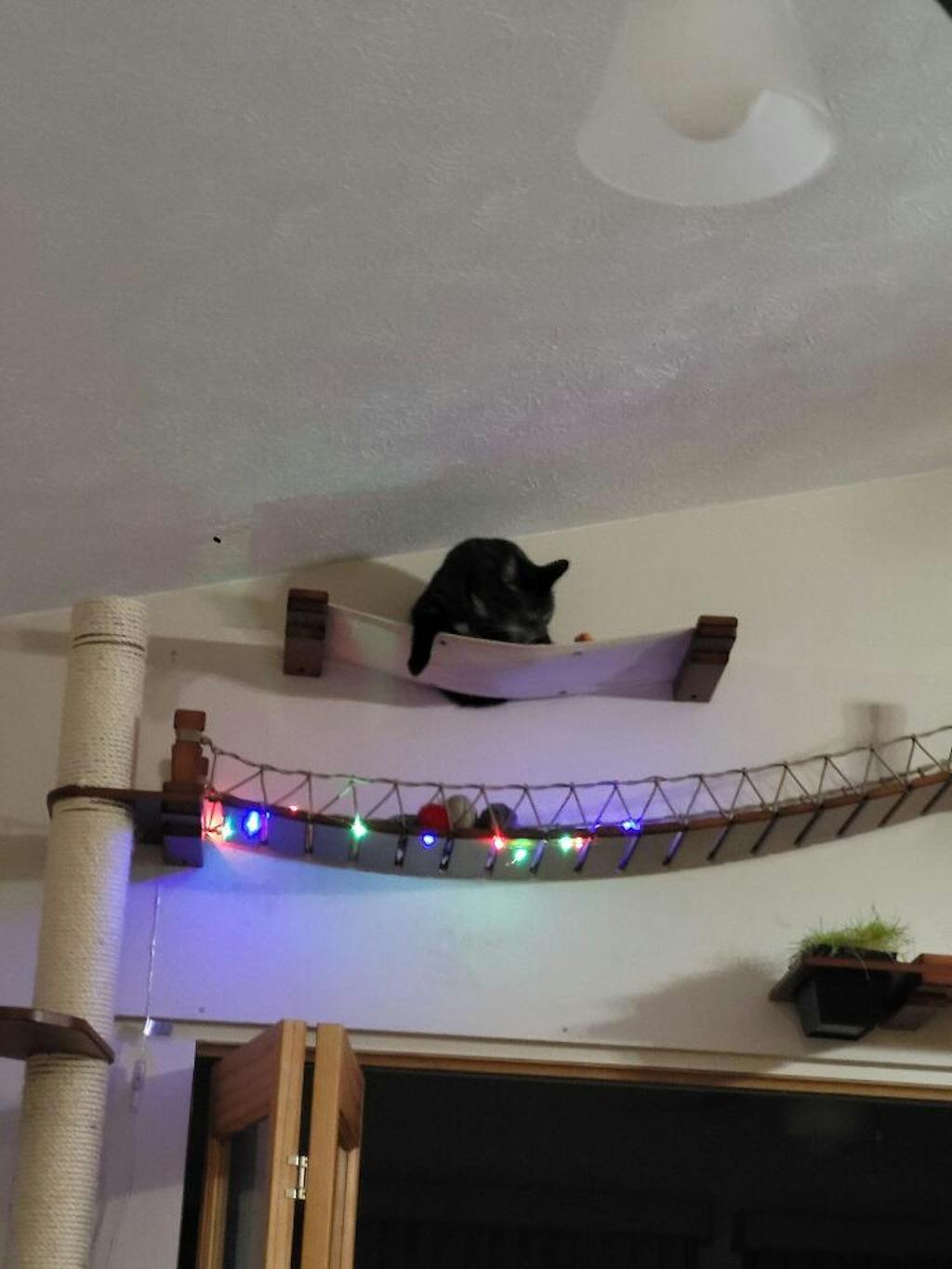 Designing Your Cat Wall | DIY Cat Wall Ideas