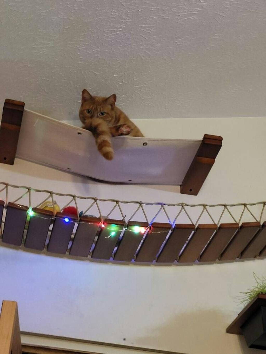 Cat Barrier for Stairs | DIY Stairway Safety for Cats