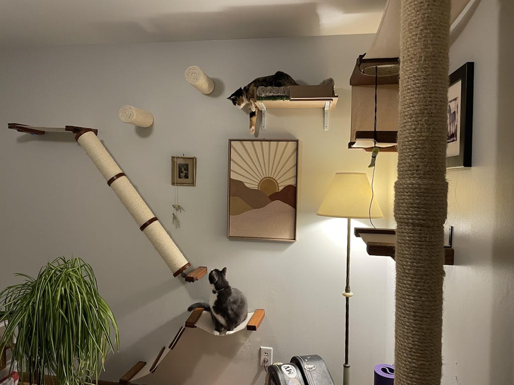 Designing Your Cat Wall | DIY Cat Wall Ideas