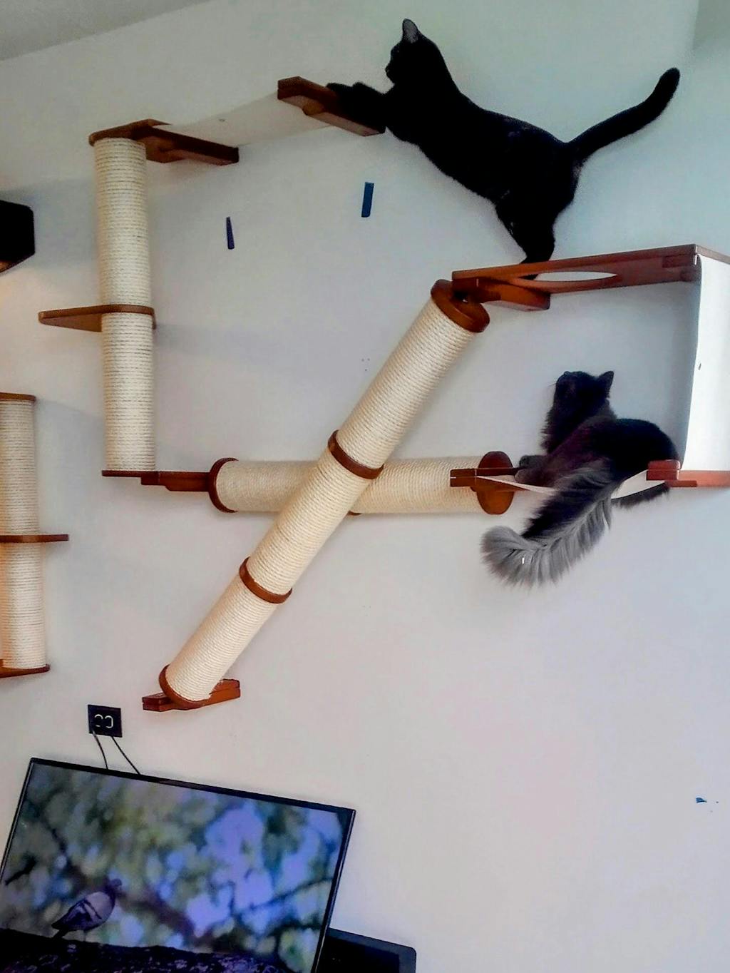 Cat Barrier for Stairs | DIY Stairway Safety for Cats