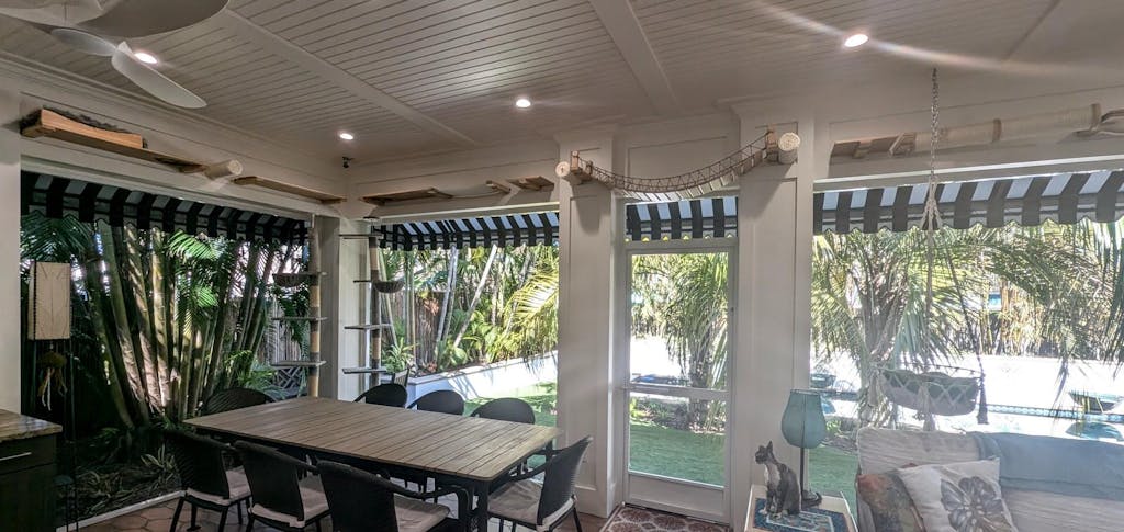 Designing Your Cat Wall | DIY Cat Wall Ideas