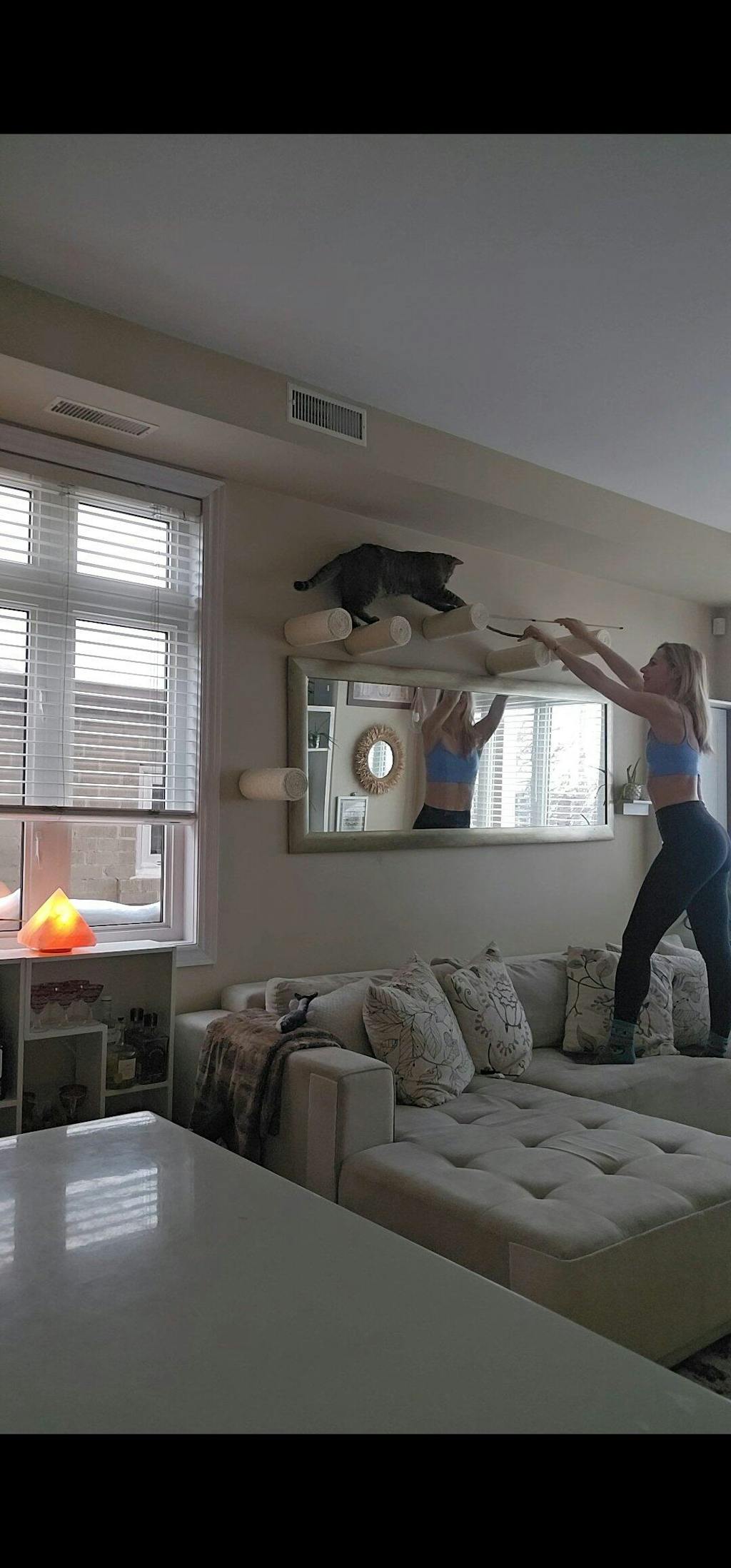 Designing Your Cat Wall | DIY Cat Wall Ideas