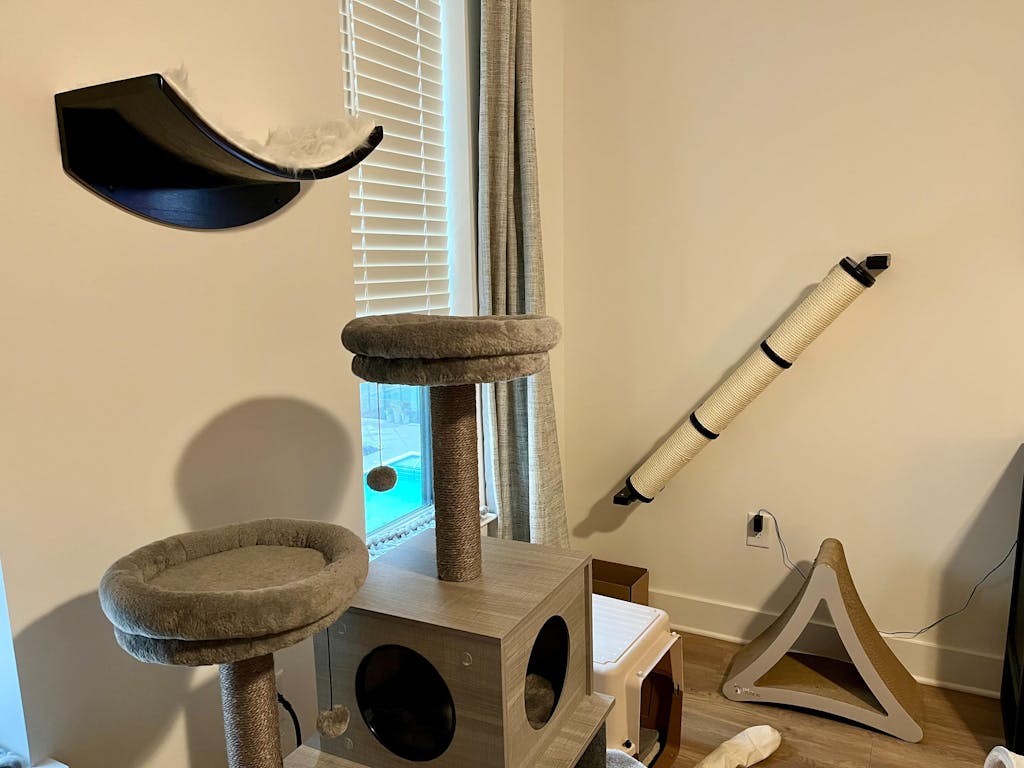 Cat Wall Climbing Systems - A Cat Obstacle Course