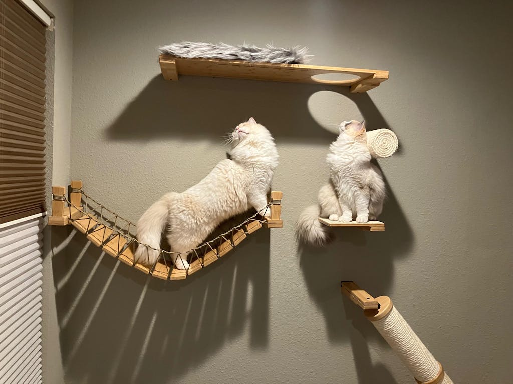Slanted Cat Scratcher for Wall