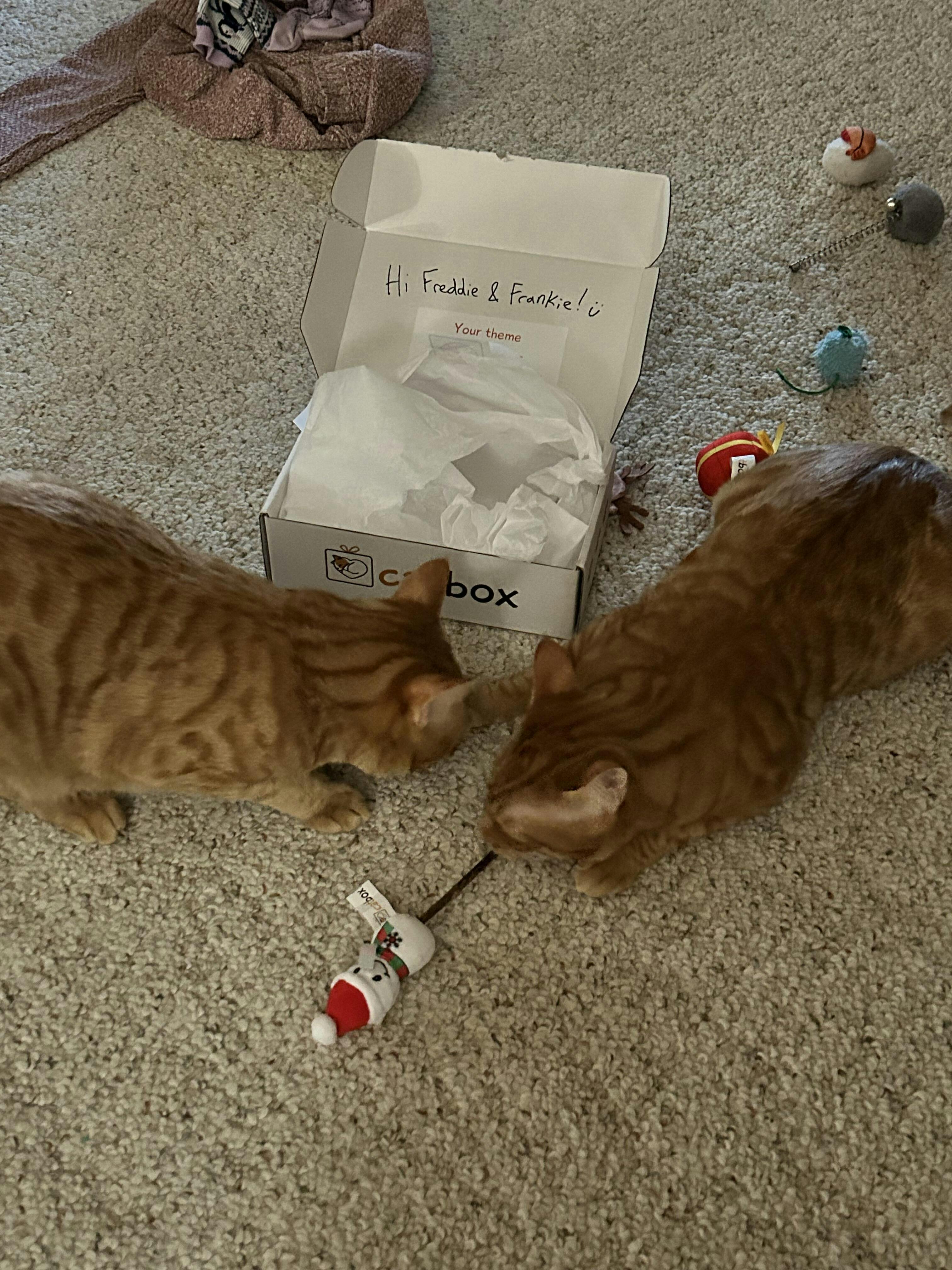 catbox: Toys & Treats For Cats With A Fun Theme In Each Box! – CatBox