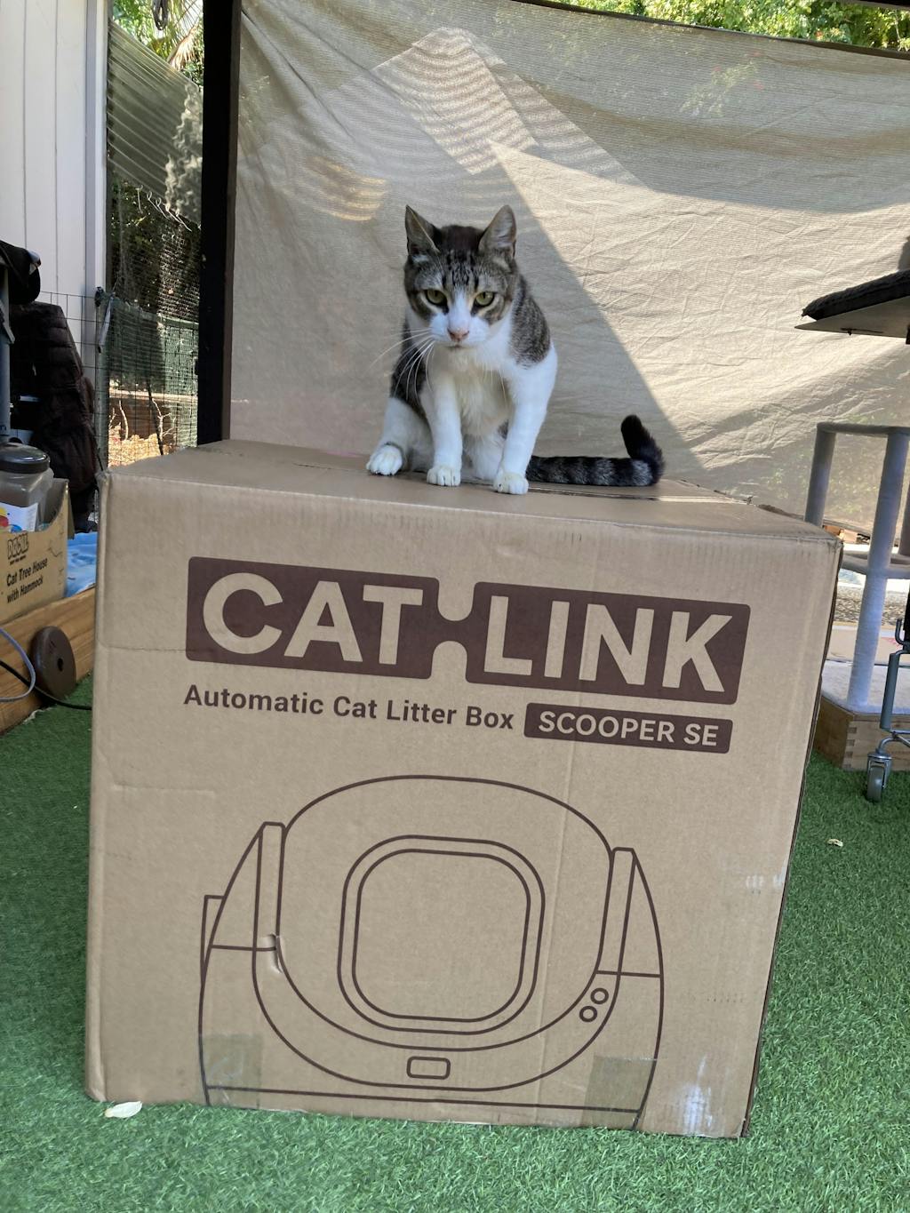 CATLINK Smart, Self Cleaning Cat Litter Box - Scooper SE