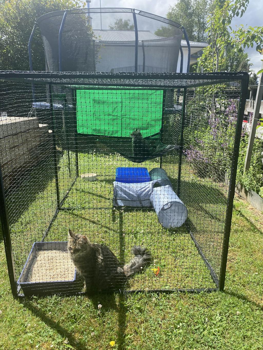 Lite Portable Cat Enclosure 2.3m | Cat Nets – Catnets