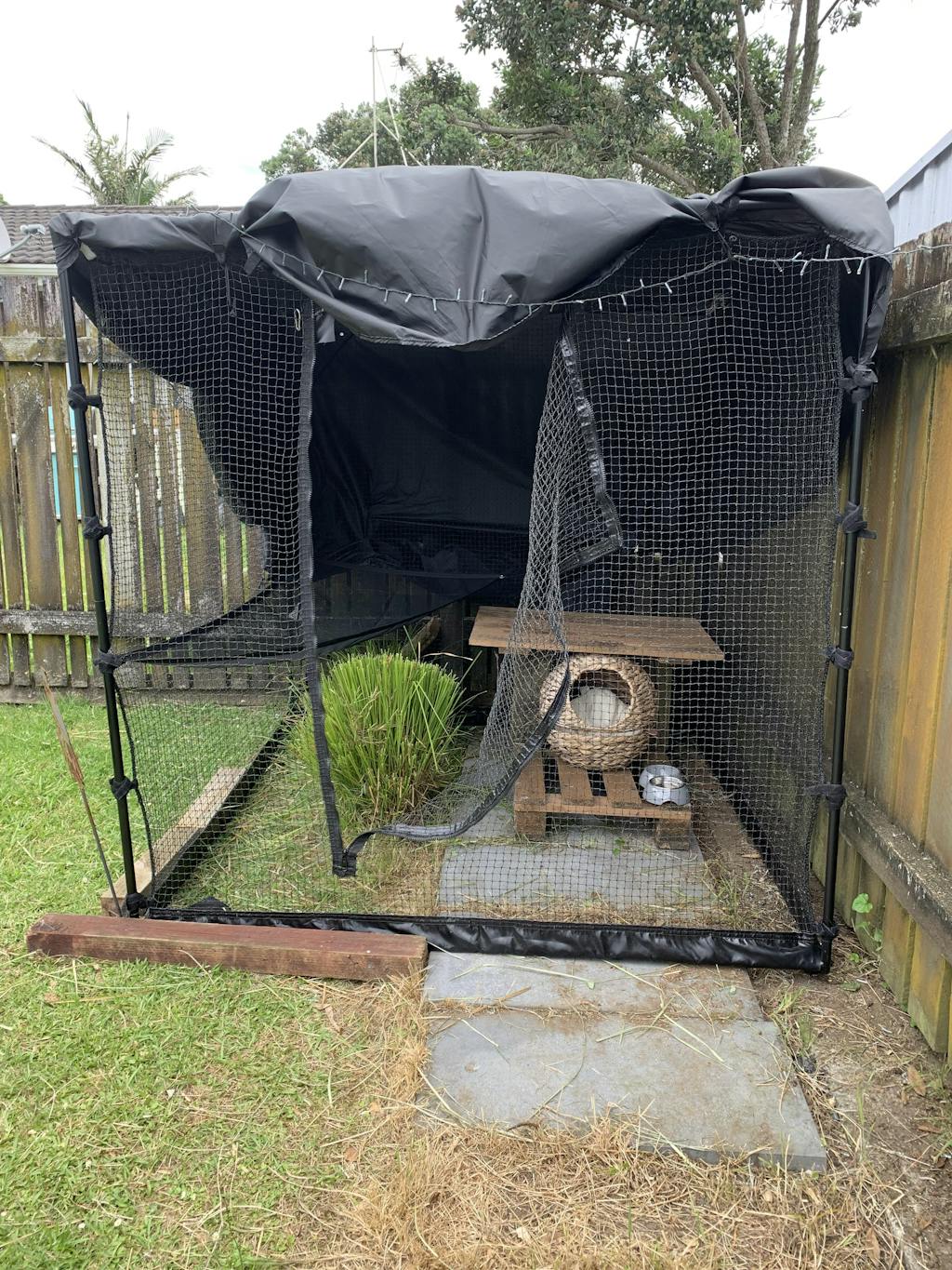 Premium Portable Cat Enclosure 1.8m | Cat Nets – Catnets