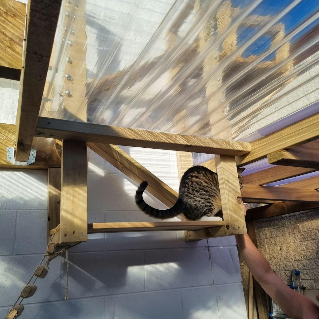 Cat Netting 25m x 3m Black – Catnets