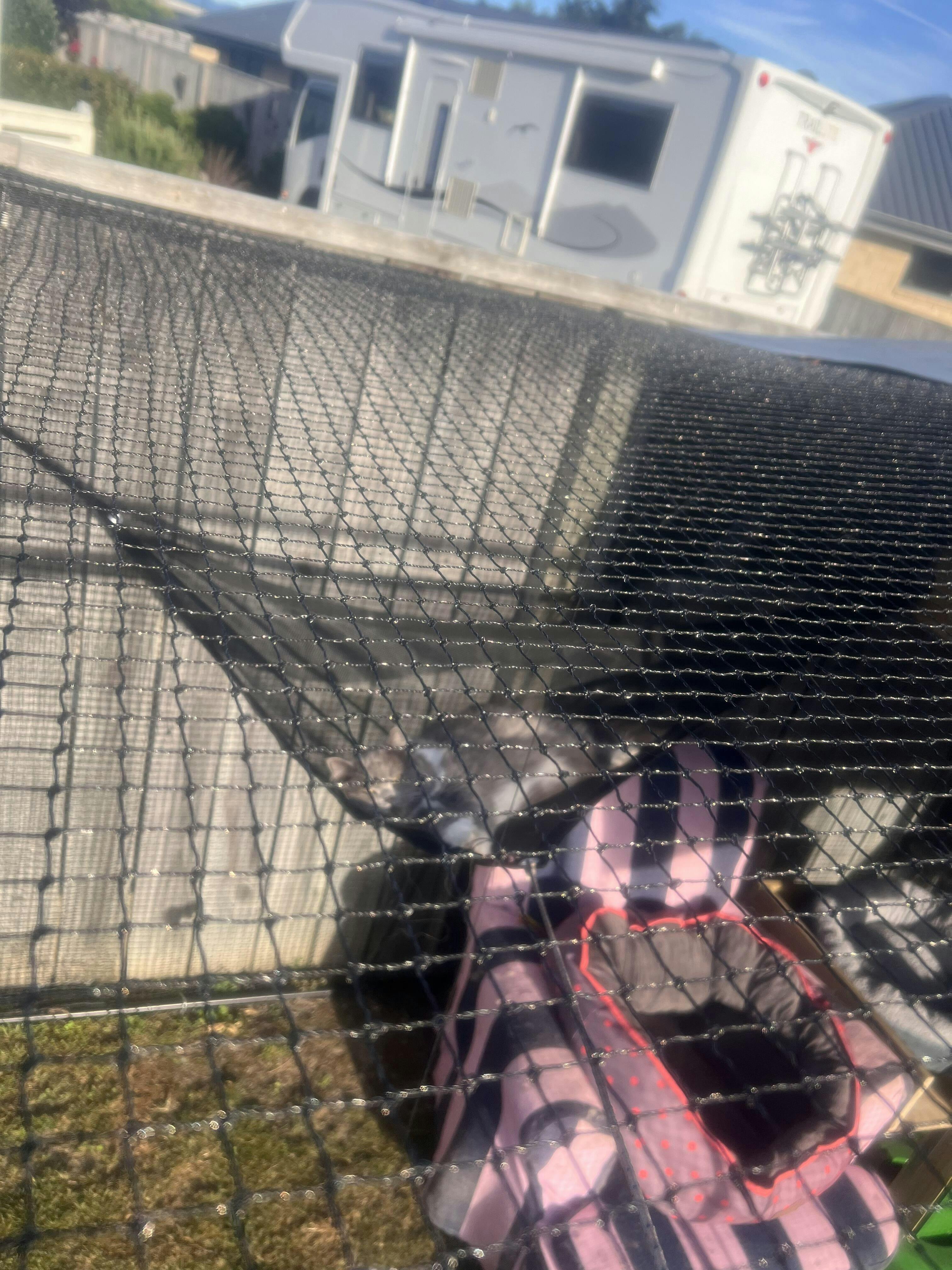 Triple Size 5.4m Freestanding Cat Enclosure – Catnets