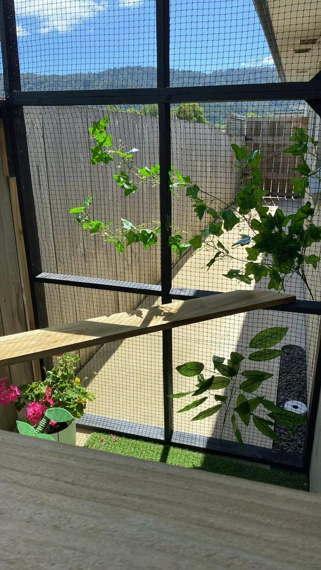 Cat Netting 10m x 1.8m Black – Catnets